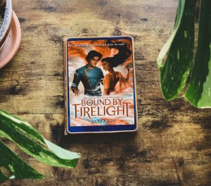 Maintaining Tension In A Sequel: Bound By Firelight Book Review – Steph ...